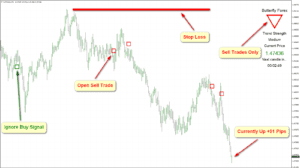 BUTTERFLY FOREX MT4 TRADING SYSTEM