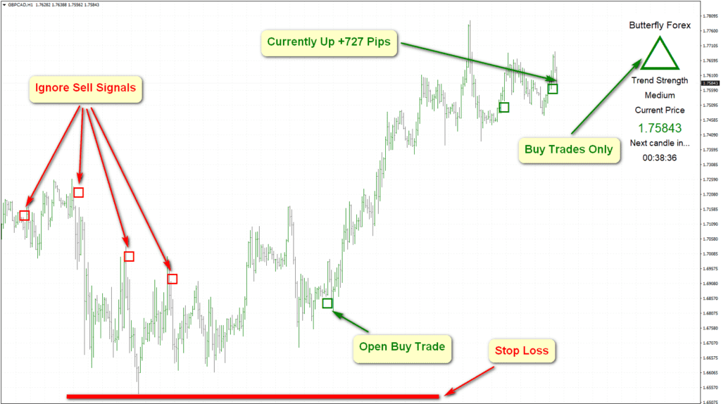 BUTTERFLY FOREX MT4 TRADING SYSTEM