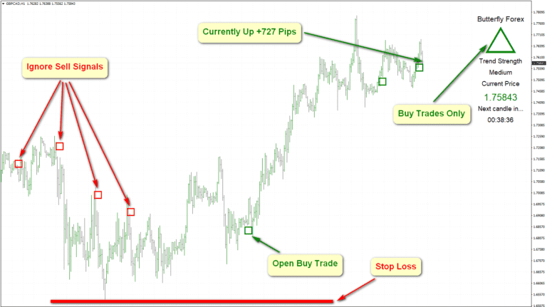BUTTERFLY FOREX MT4 TRADING SYSTEM