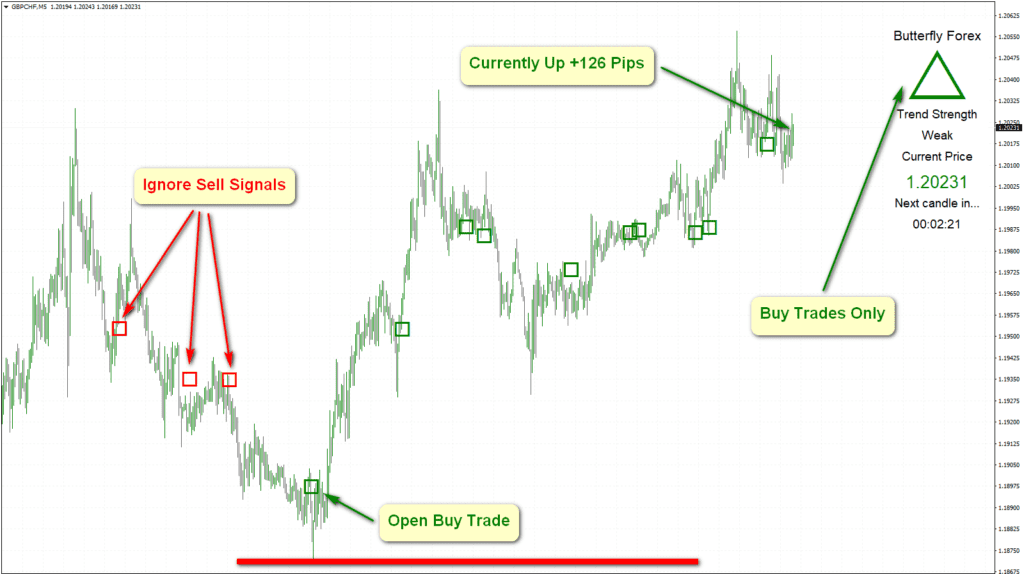 BUTTERFLY FOREX MT4 TRADING SYSTEM