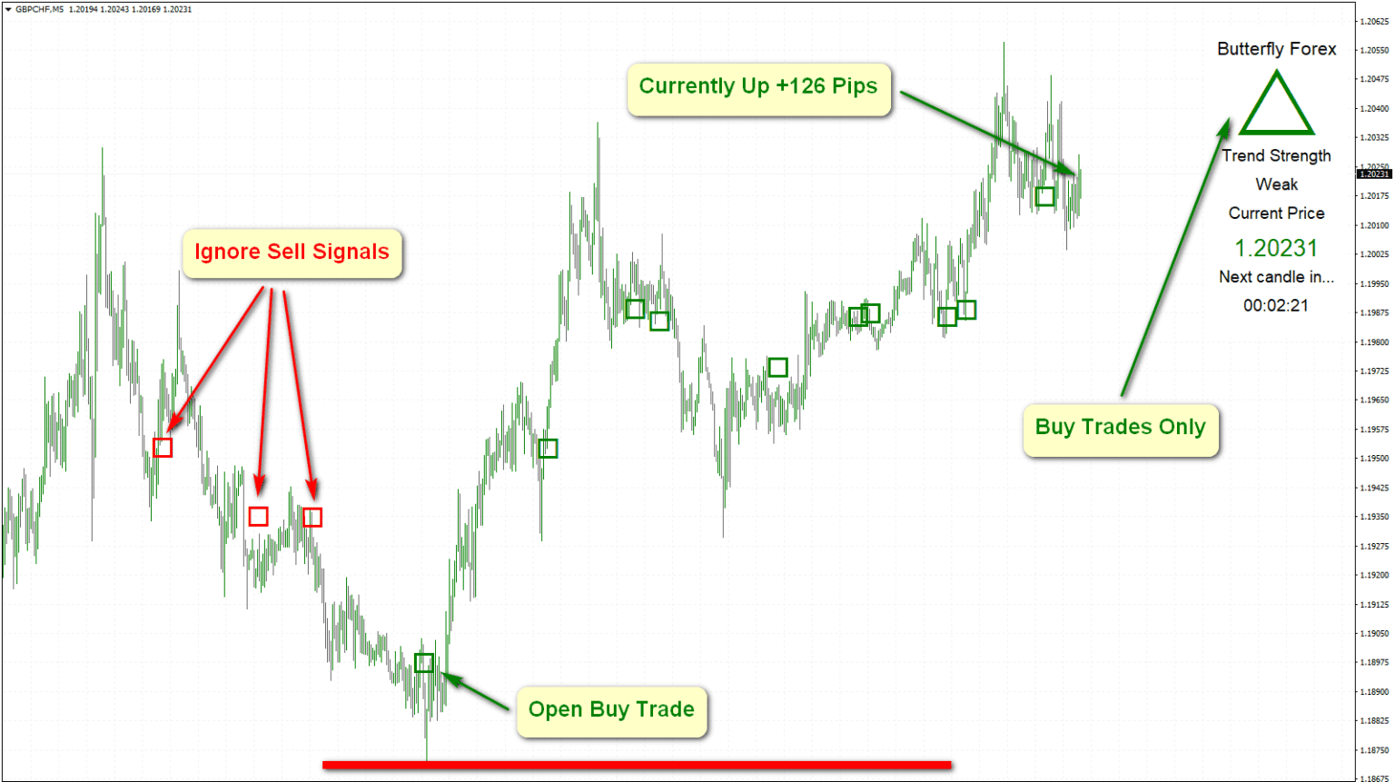 BUTTERFLY FOREX MT4 TRADING SYSTEM