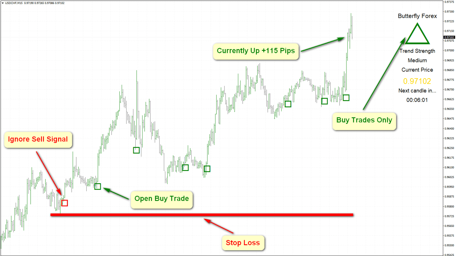BUTTERFLY FOREX MT4 TRADING SYSTEM